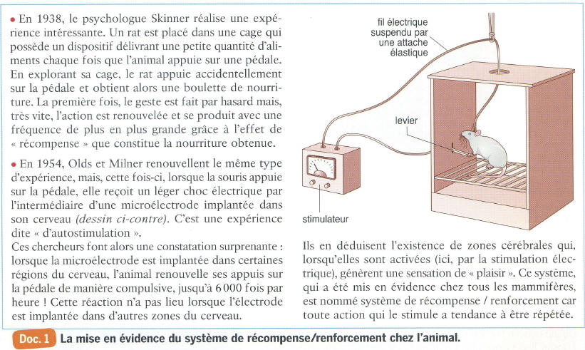 Découverte des circuits de la récompense