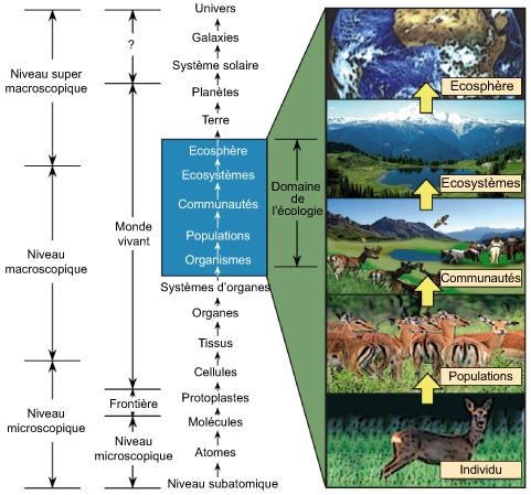 Place des écosystèmes dans la biosphère