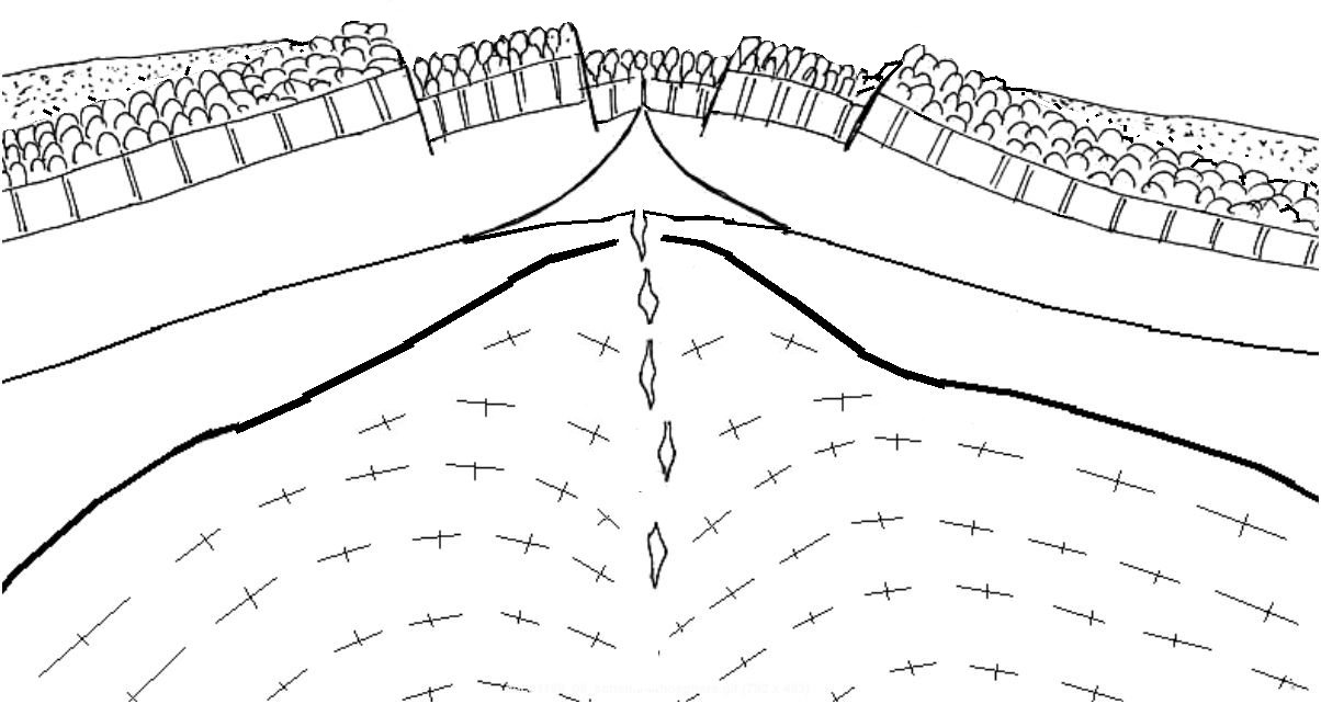 Première S enseignement obligatoire Leçon n°15