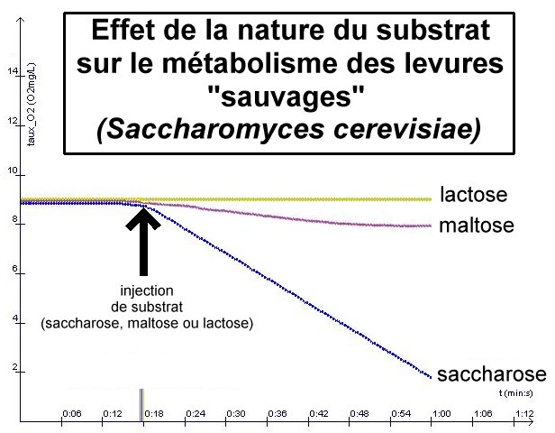 2nde1 Dossier I Activité 6