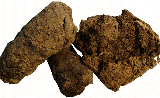 La tourbe et sa formation