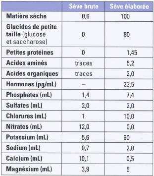 Les sèves brute et élaborée et leur transport