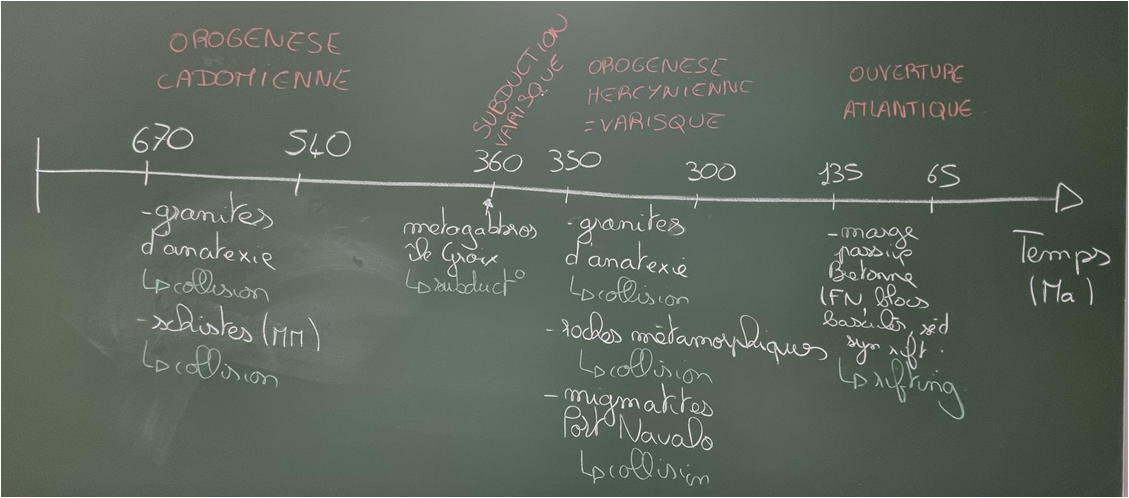 Progression de spécialité SVT groupe 3