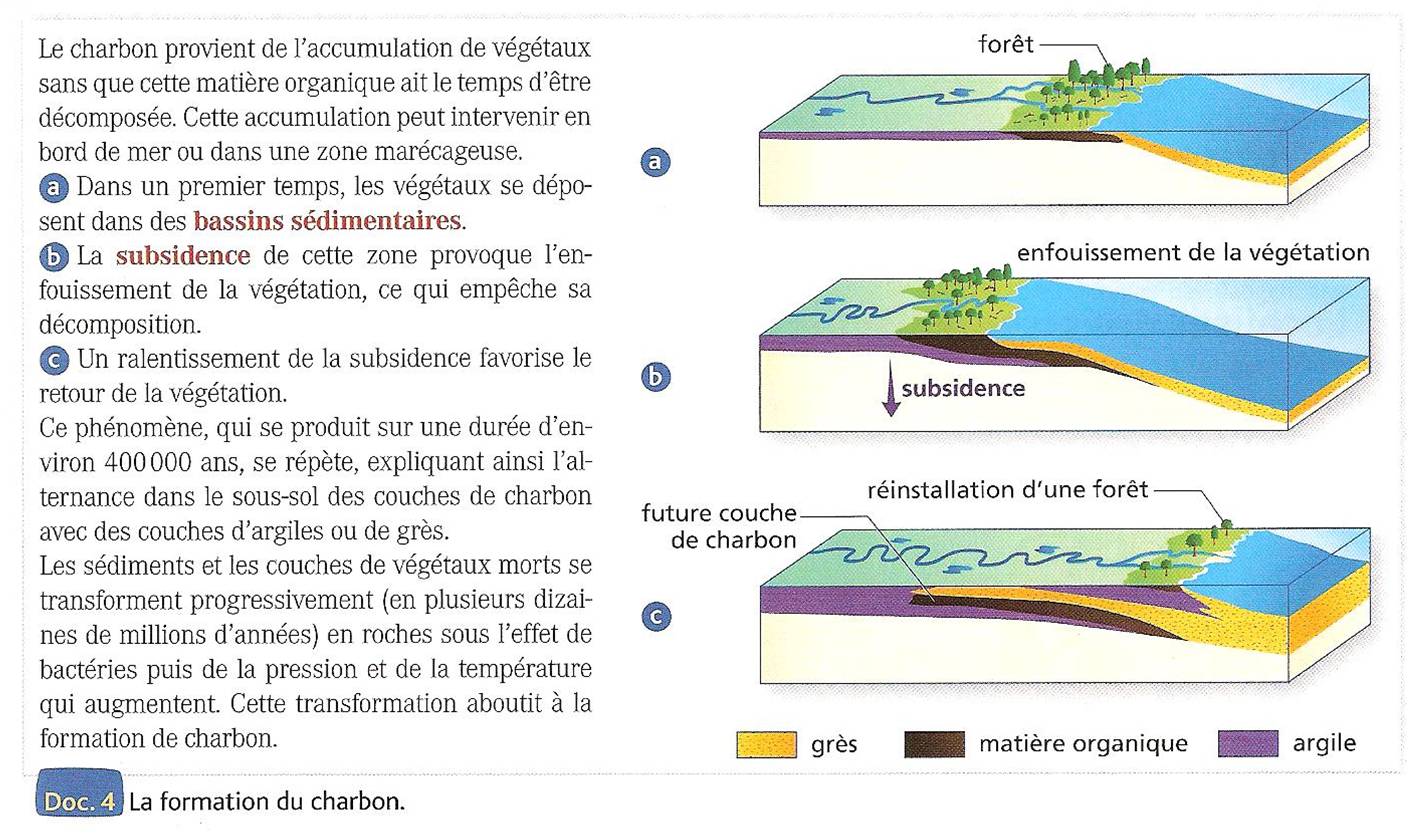 La formation du charbon